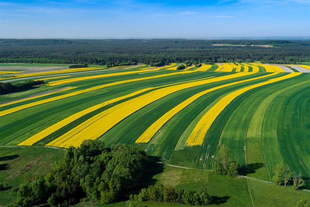 Roztocze na weekend - Wasza Turystyka